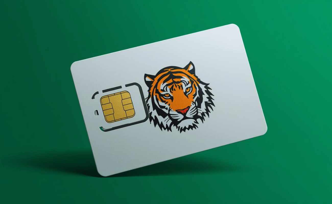 বিটিসিএল আনবে নতুন মোবাইল সিম, থাকছে যেসব সুবিধা - Banglatech24.com